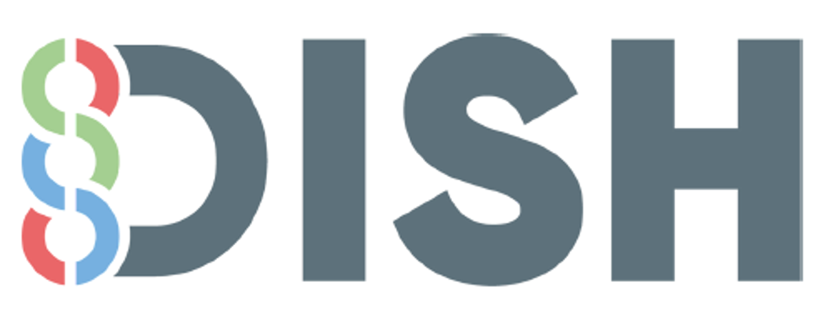 DISH - Digital and Innovation Skills helix in Health 2018-2021